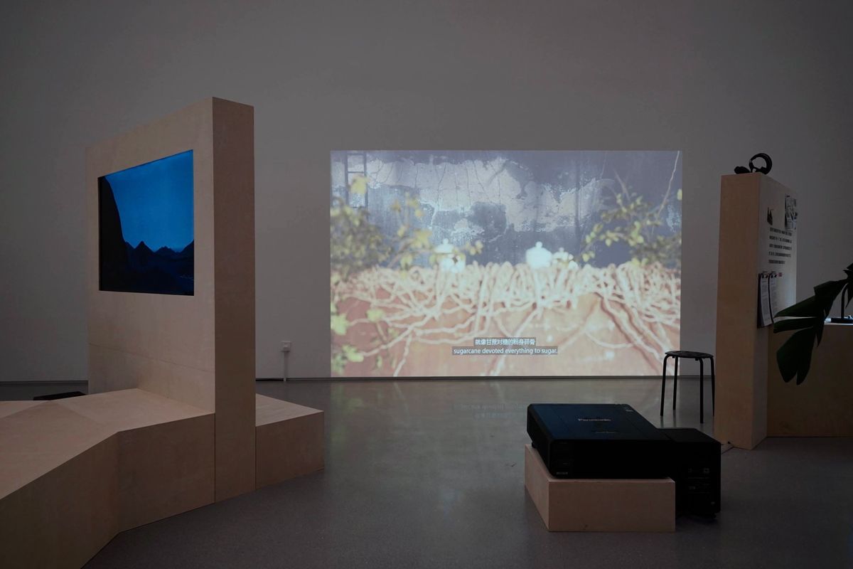 'STUDY II: Natural History, Alternative Knowledge and Deep Learning' at ...