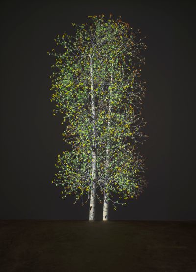 Jennifer Steinkamp Artworks | Ocula Artist