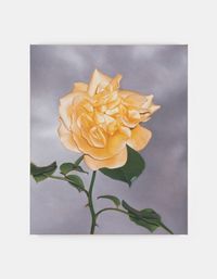 Discover Contemporary Art