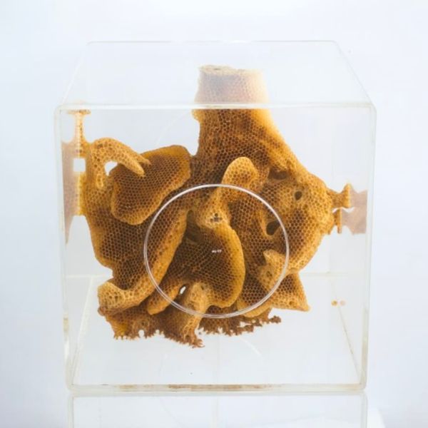 Ren Ri Biography, Artworks & Exhibitions | Ocula Artist