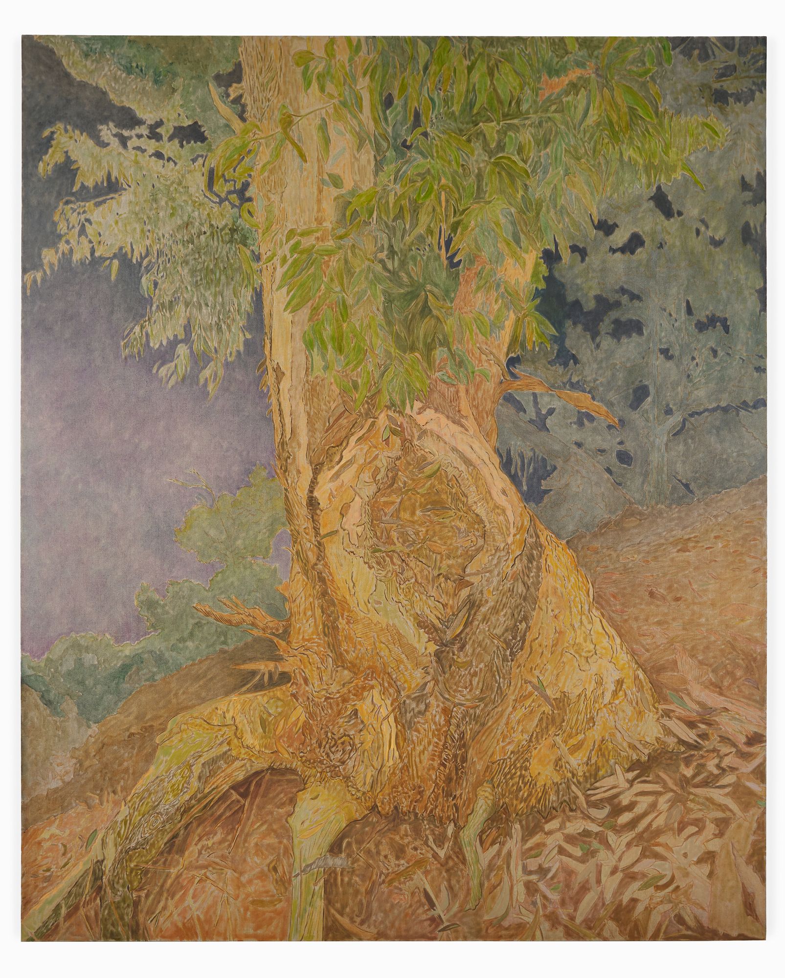 Hayley Barker Biography, Artworks & Exhibitions | Ocula Artist