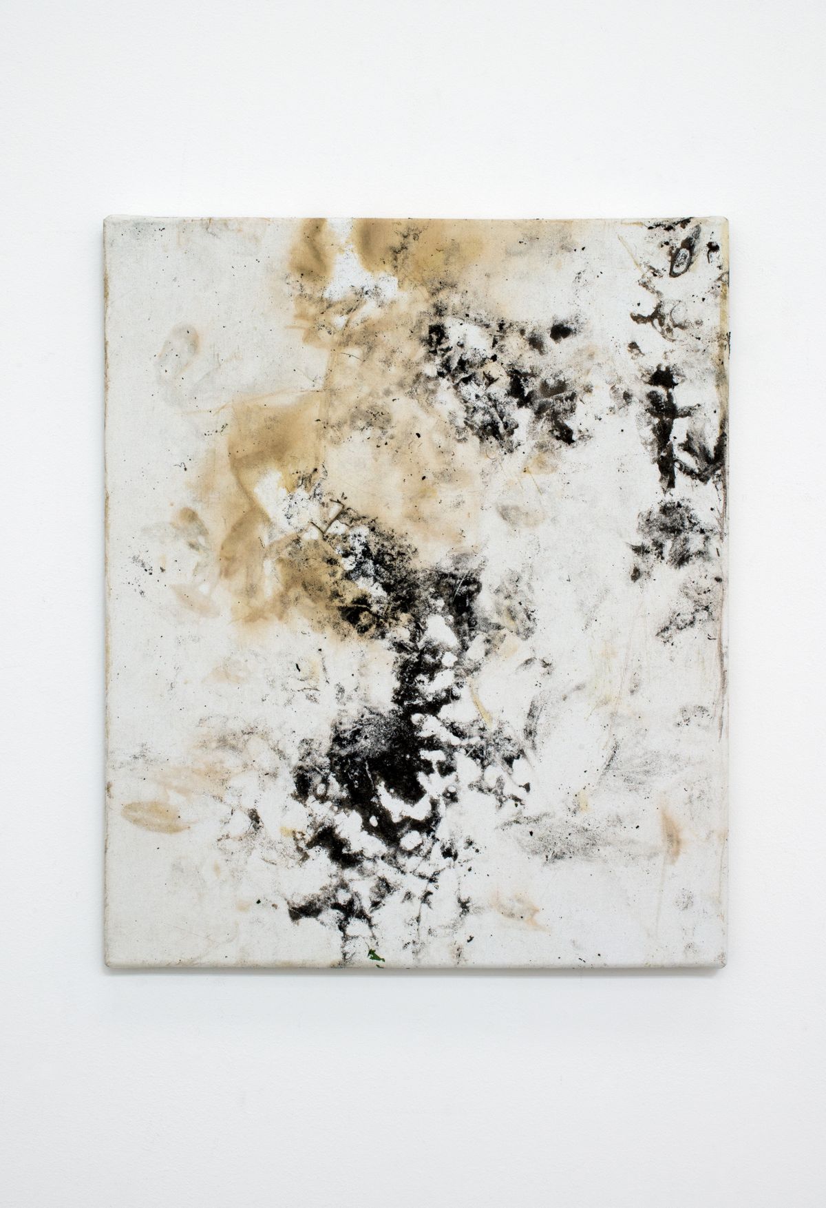 Karin Sander's Art For Sale, Exhibitions & Biography | Ocula Artist