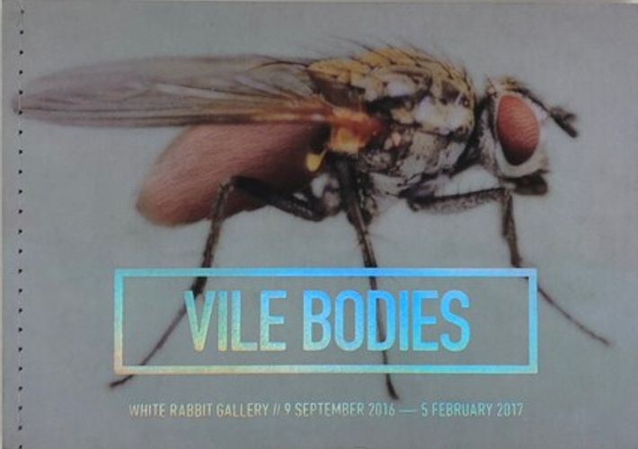Vile Bodies - White Rabbit Gallery | Ocula