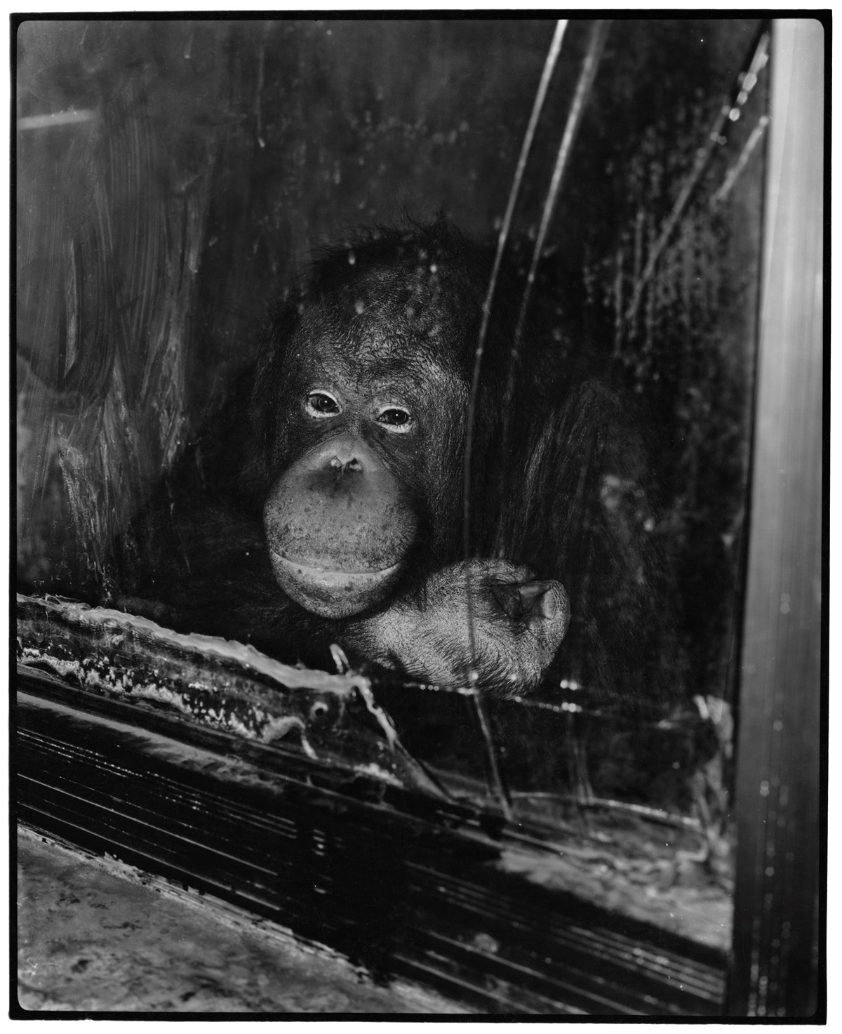 Lu Yanjin Biography, Artworks & Exhibitions | Ocula Artist