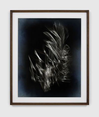 Thomas Ruff Artworks | Ocula Artist