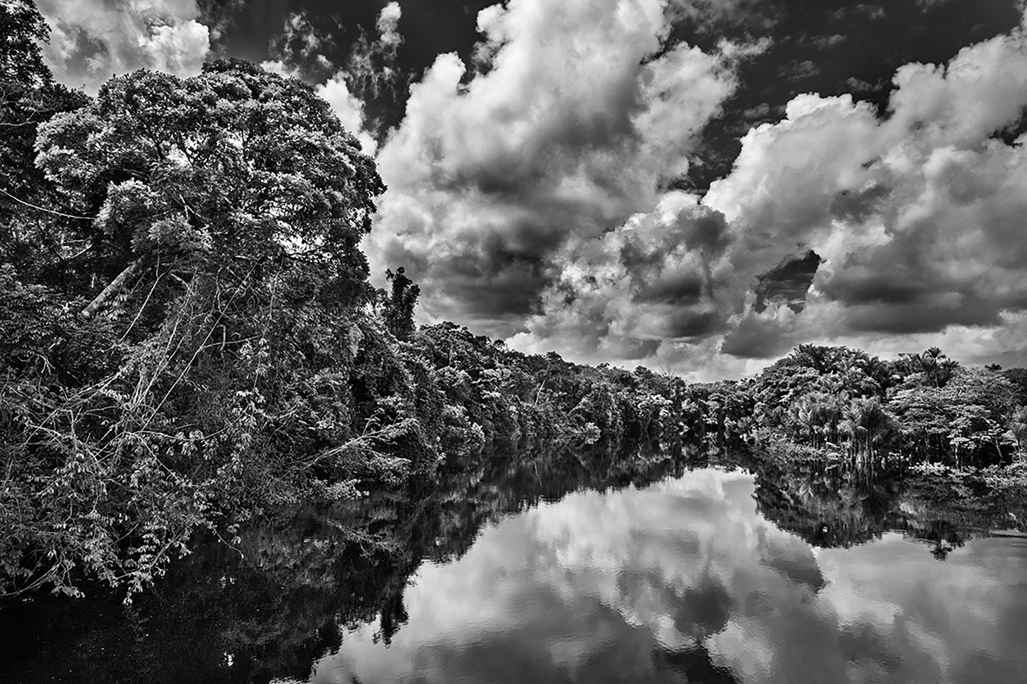 View of an igapó, Jaú River, Jaú National Park, state of Amazonas ...