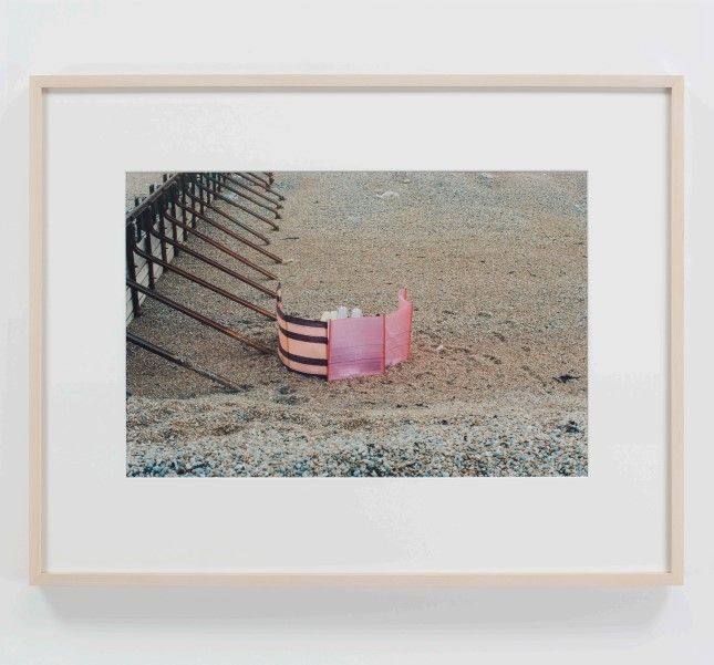 Peter Schlesinger Biography, Artworks & Exhibitions | Ocula Artist