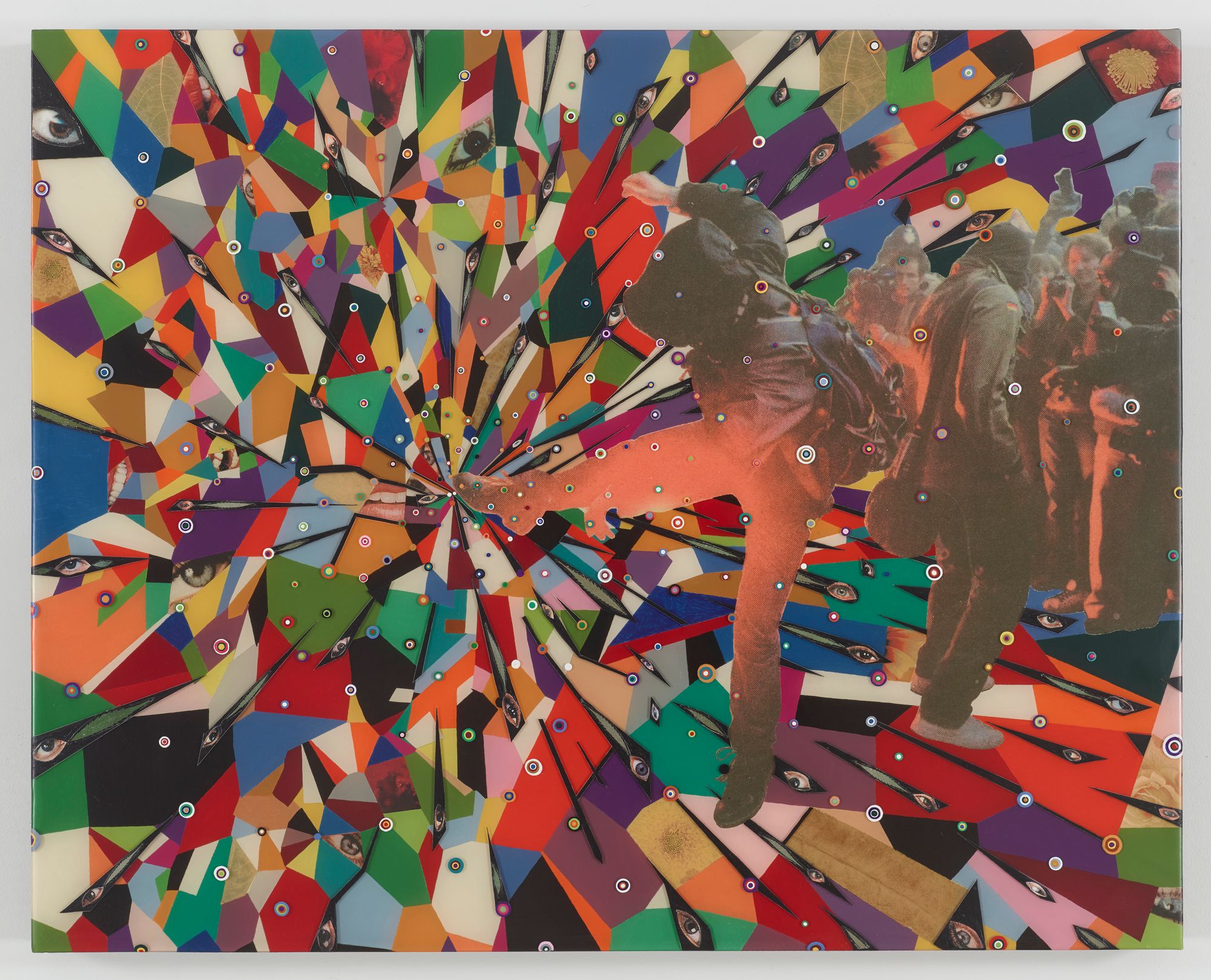 Fred Tomaselli Biography, Artworks & Exhibitions | Ocula Artist