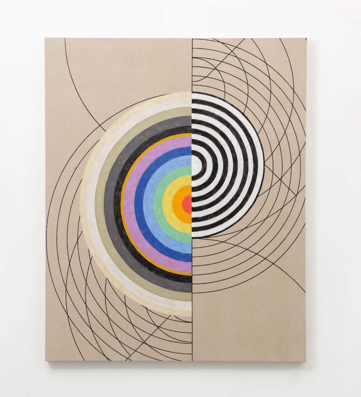 Jose Dávila Biography, Artworks & Exhibitions | Ocula Artist