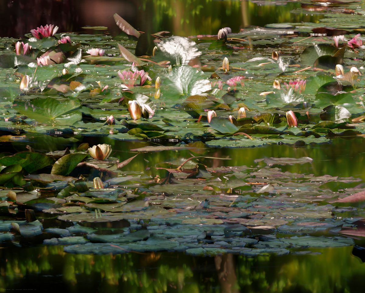 Michael Wesely's Art For Sale, Exhibitions & Biography | Ocula Artist