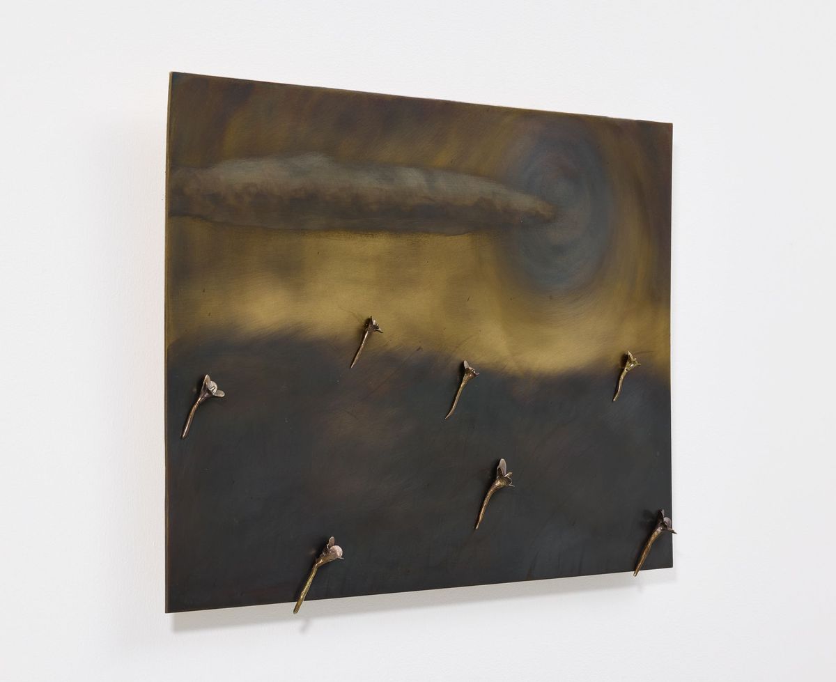 Elizabeth Jaeger's Art For Sale, Exhibitions & Biography | Ocula Artist