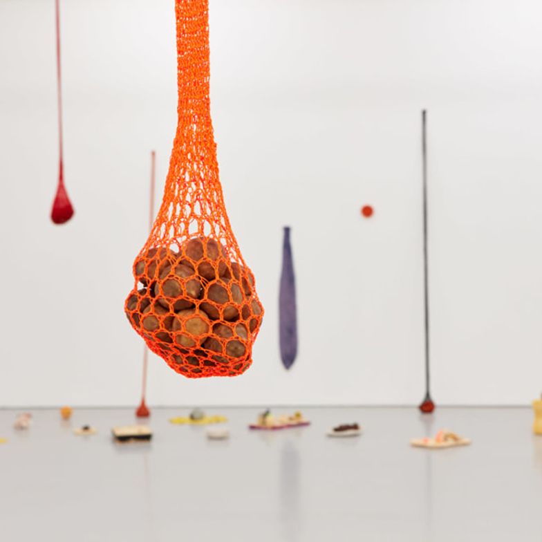 Veronica Ryan's Art For Sale, Exhibitions & Biography | Ocula Artist