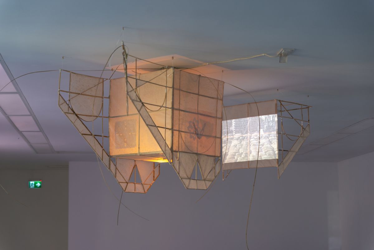 Cici Wu's Art For Sale, Exhibitions & Biography | Ocula Artist