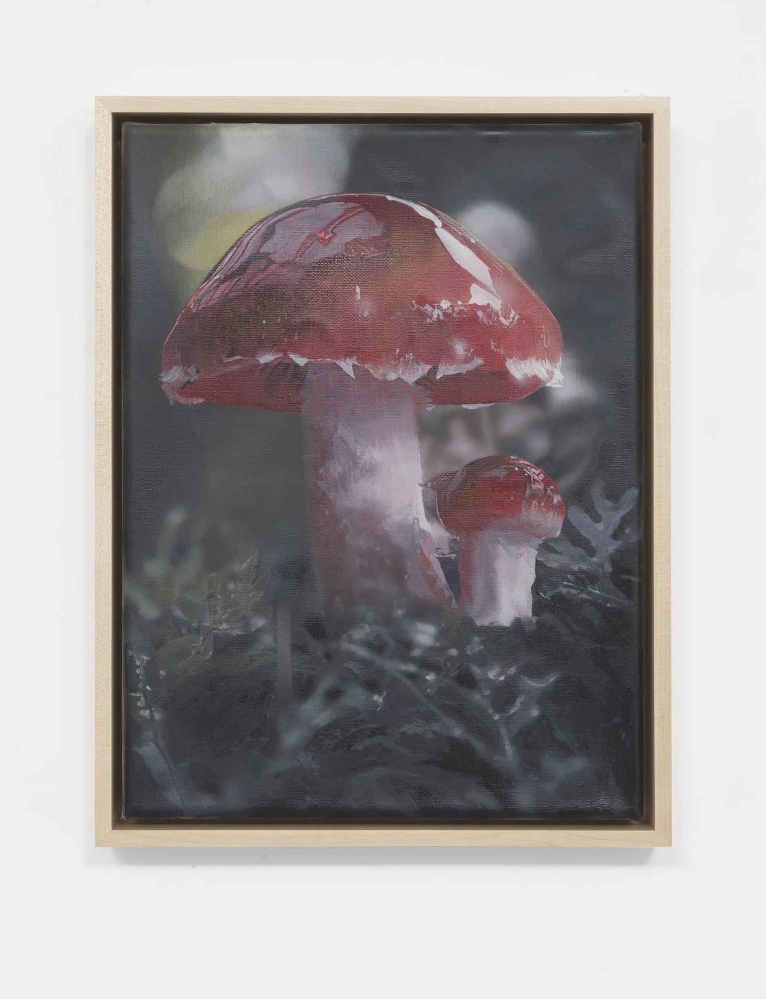 Russula Emetica, 2021 by Craig Boagey | Ocula