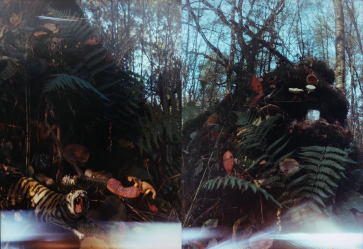 Forêt 1 (Forest 1), Forêt 2 (Forest 2), 1998-1999 by Kim Soun-Gui ...