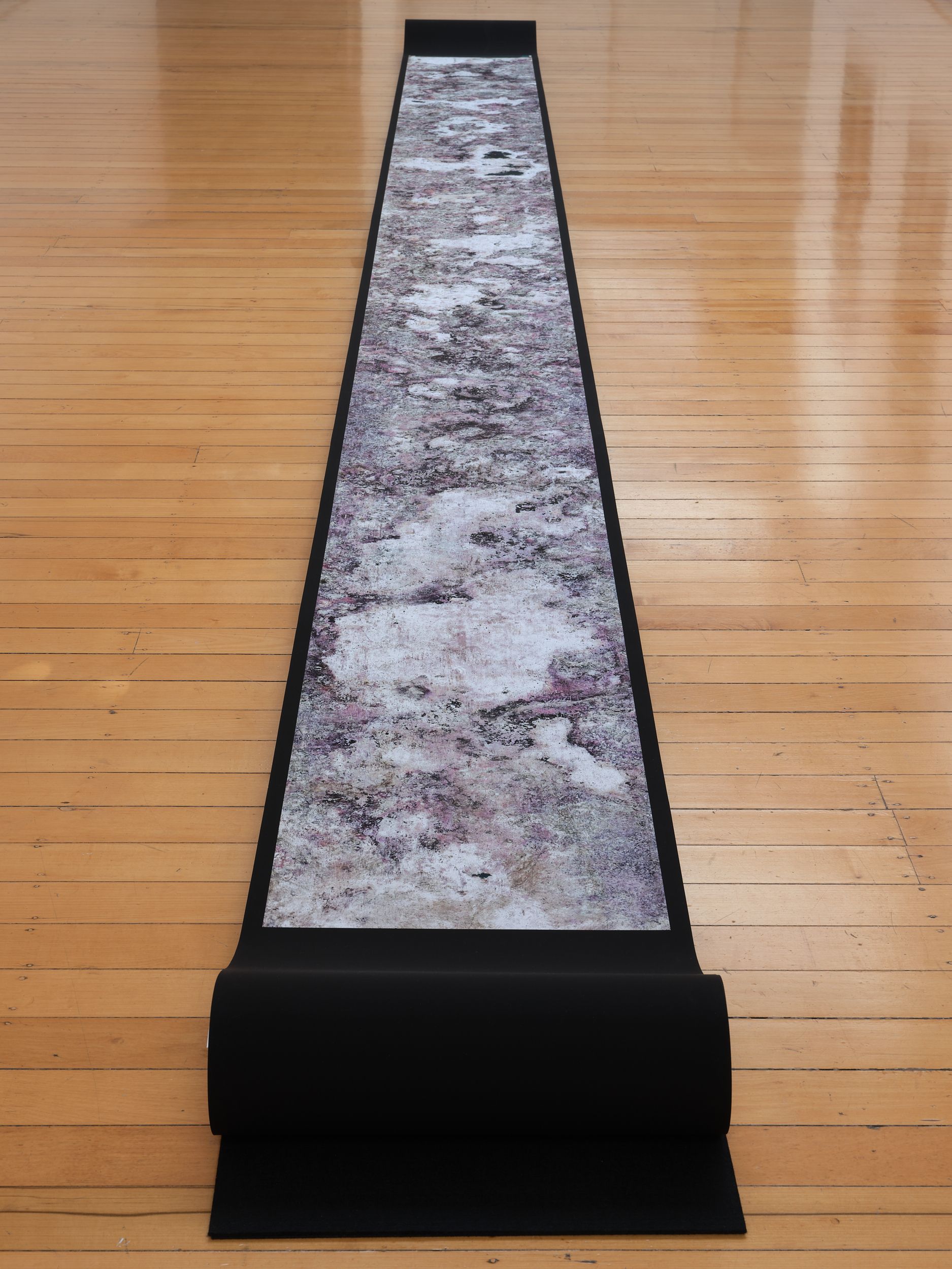 Anne Noble Biography, Artworks & Exhibitions | Ocula Artist