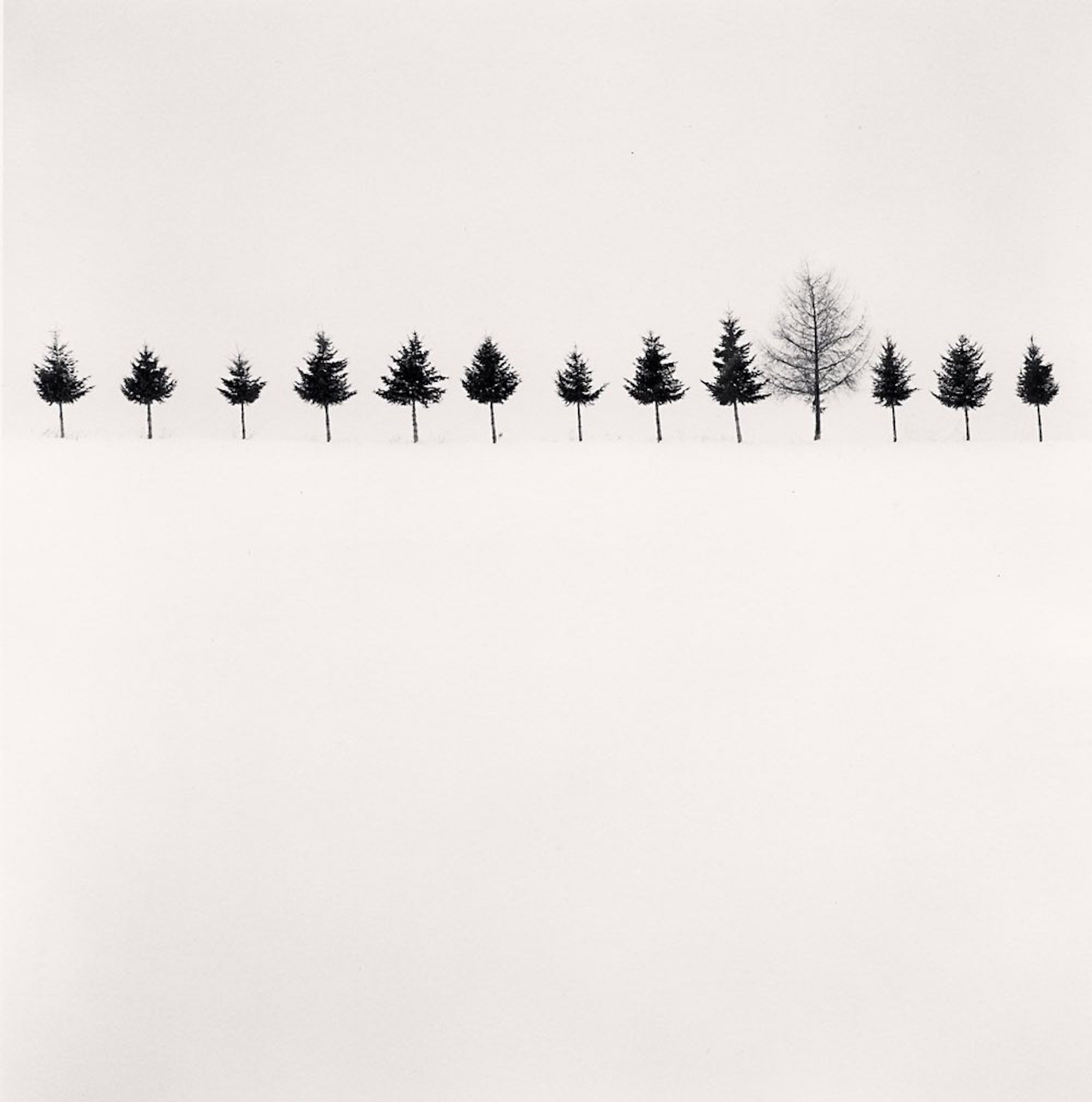 Michael Kenna Biography, Artworks & Exhibitions | Ocula Artist