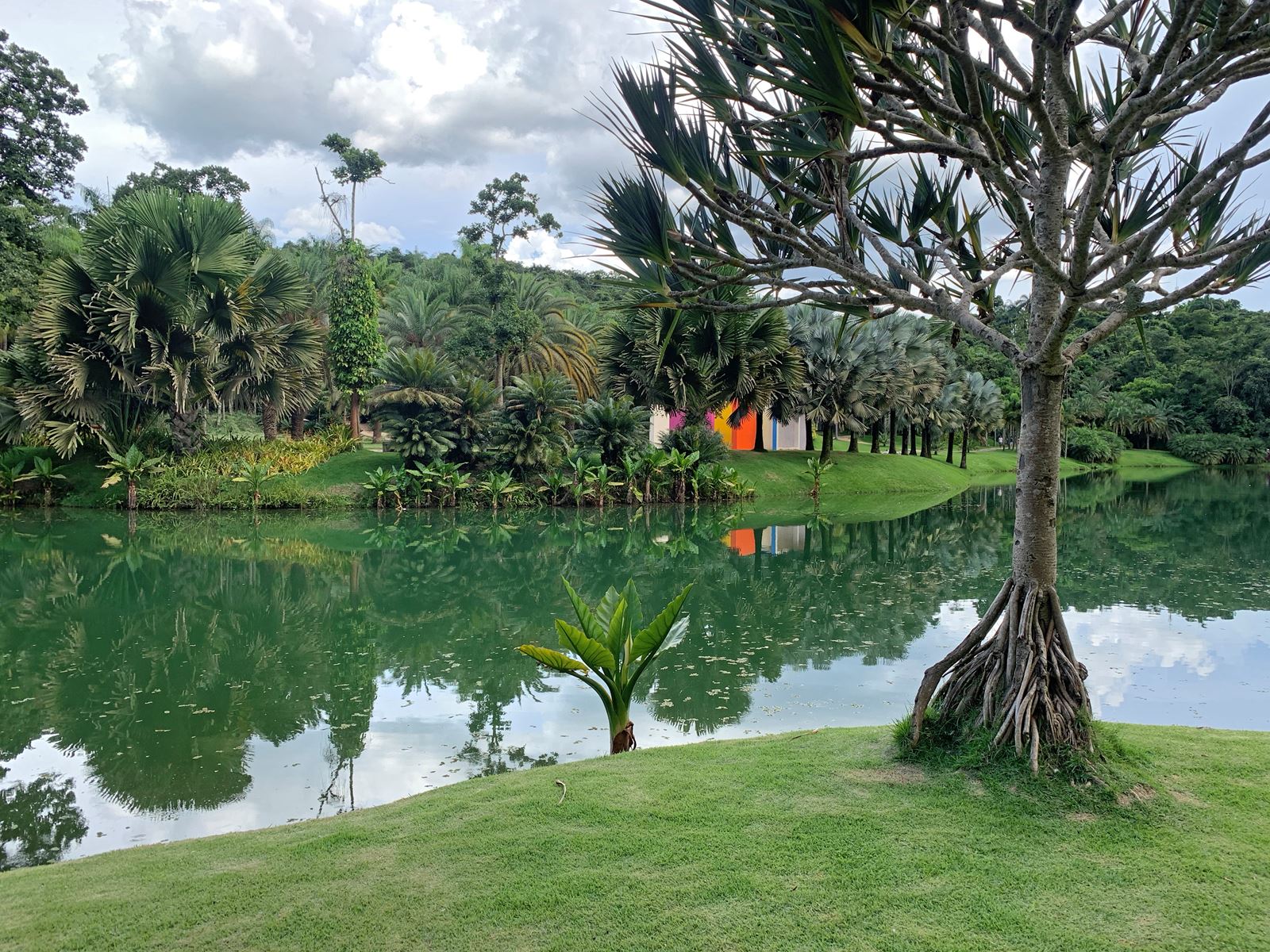 The Magnificent Seven Art Sites: Inhotim, Brazil | Ocula