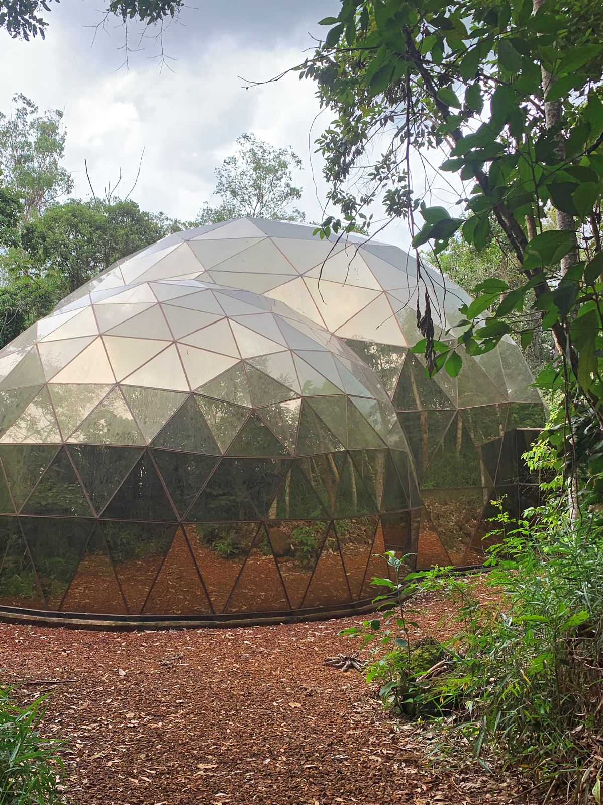 The Magnificent Seven Art Sites: Inhotim, Brazil | Ocula