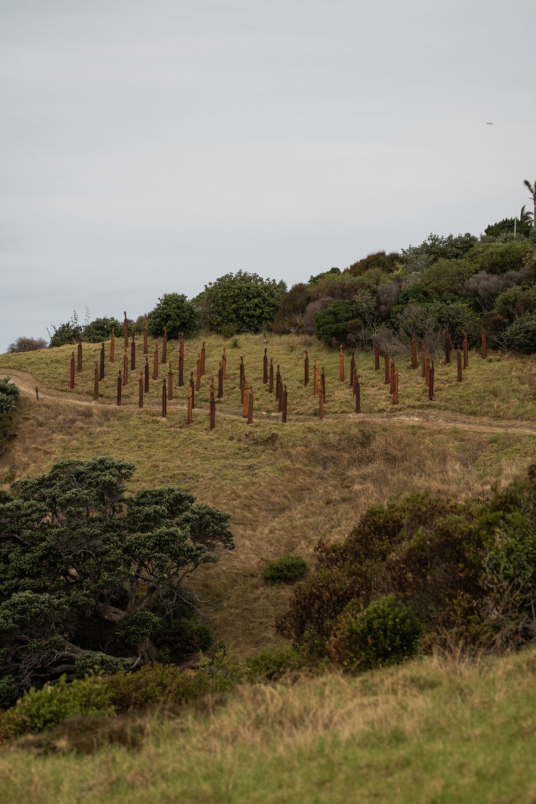 Waiheke Sculpture on the Gulf 2022 | Ocula