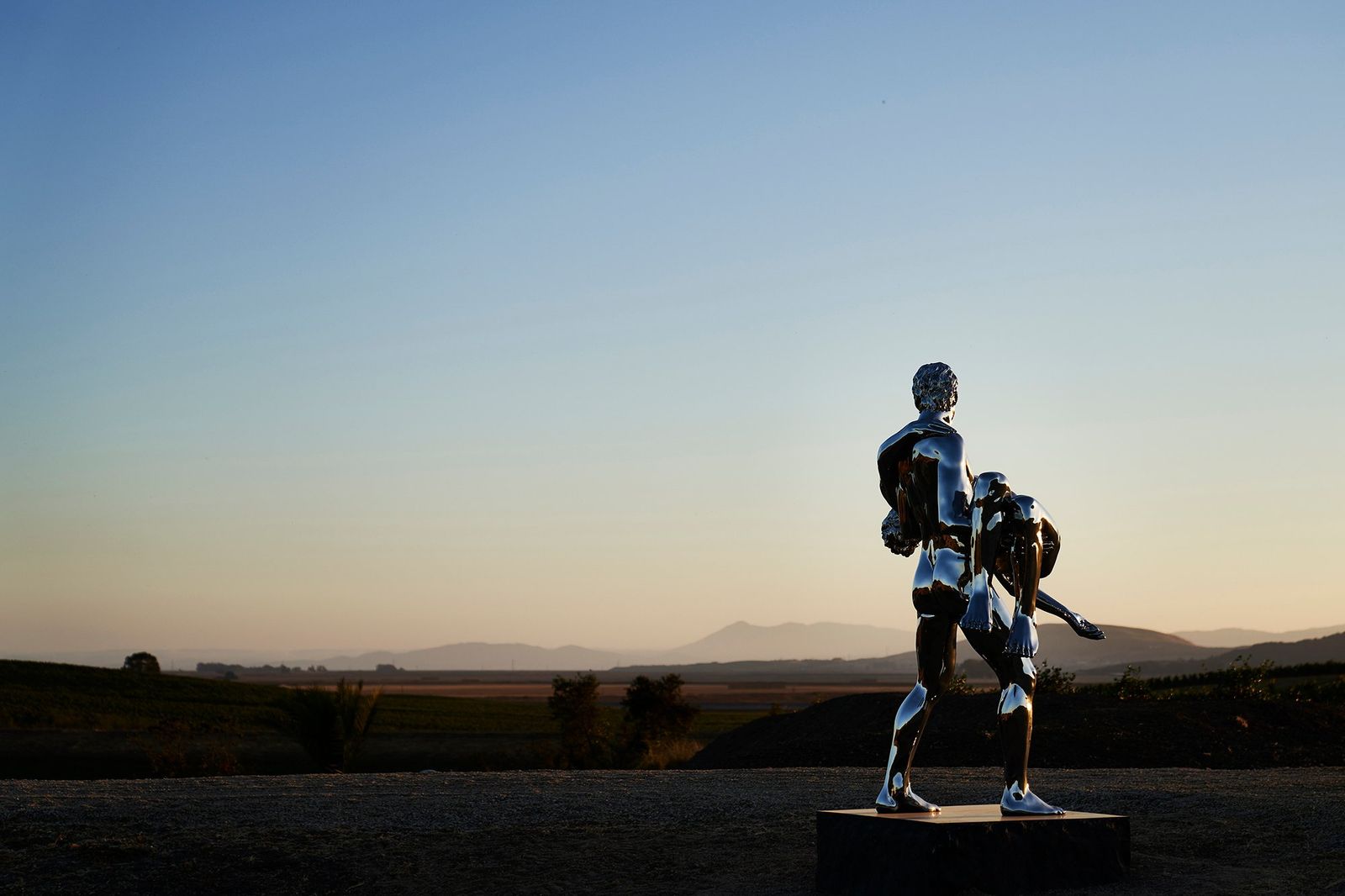 The Donum Collection: Sculpture Park | Ocula