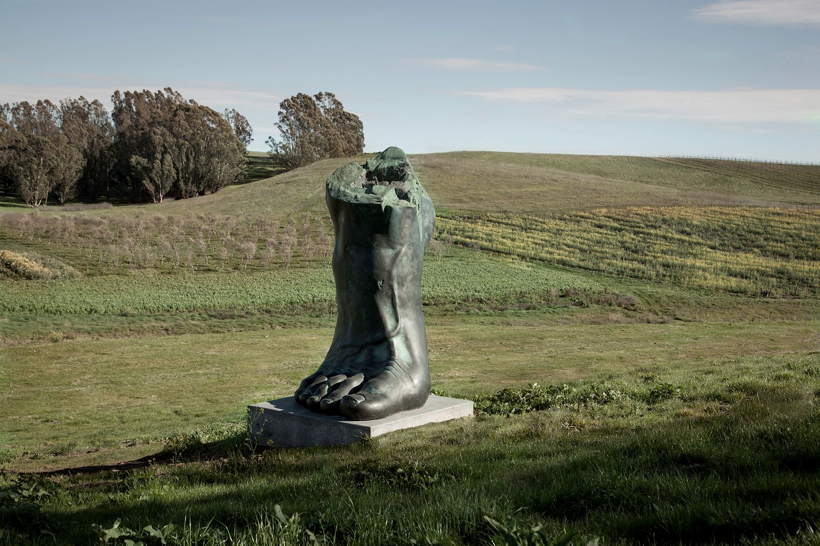 The Donum Collection: Sculpture Park | Ocula