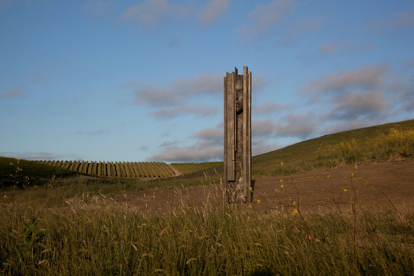 The Donum Collection: Sculpture Park | Ocula