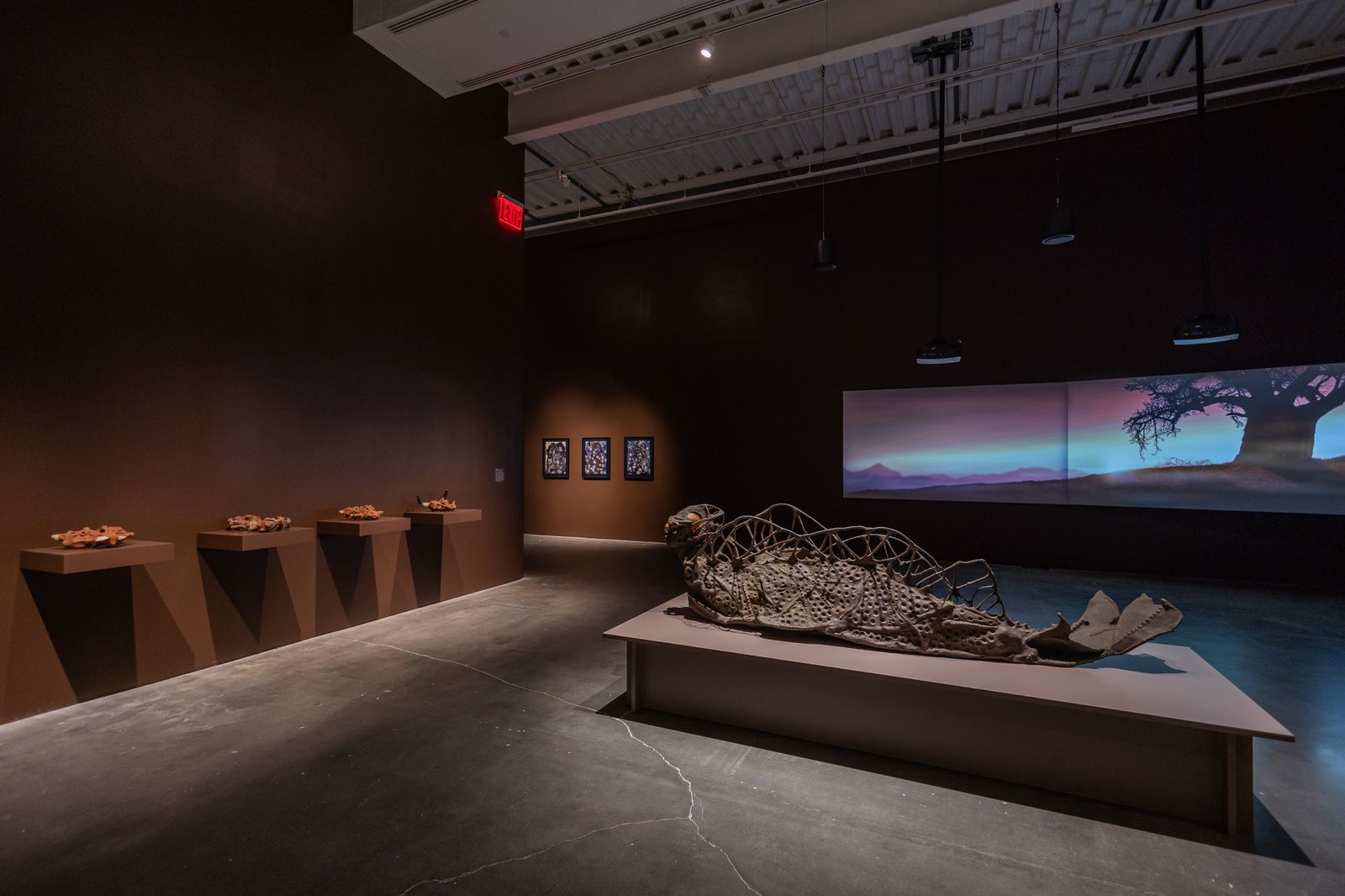 Wangechi Mutu: Intertwined | Ocula