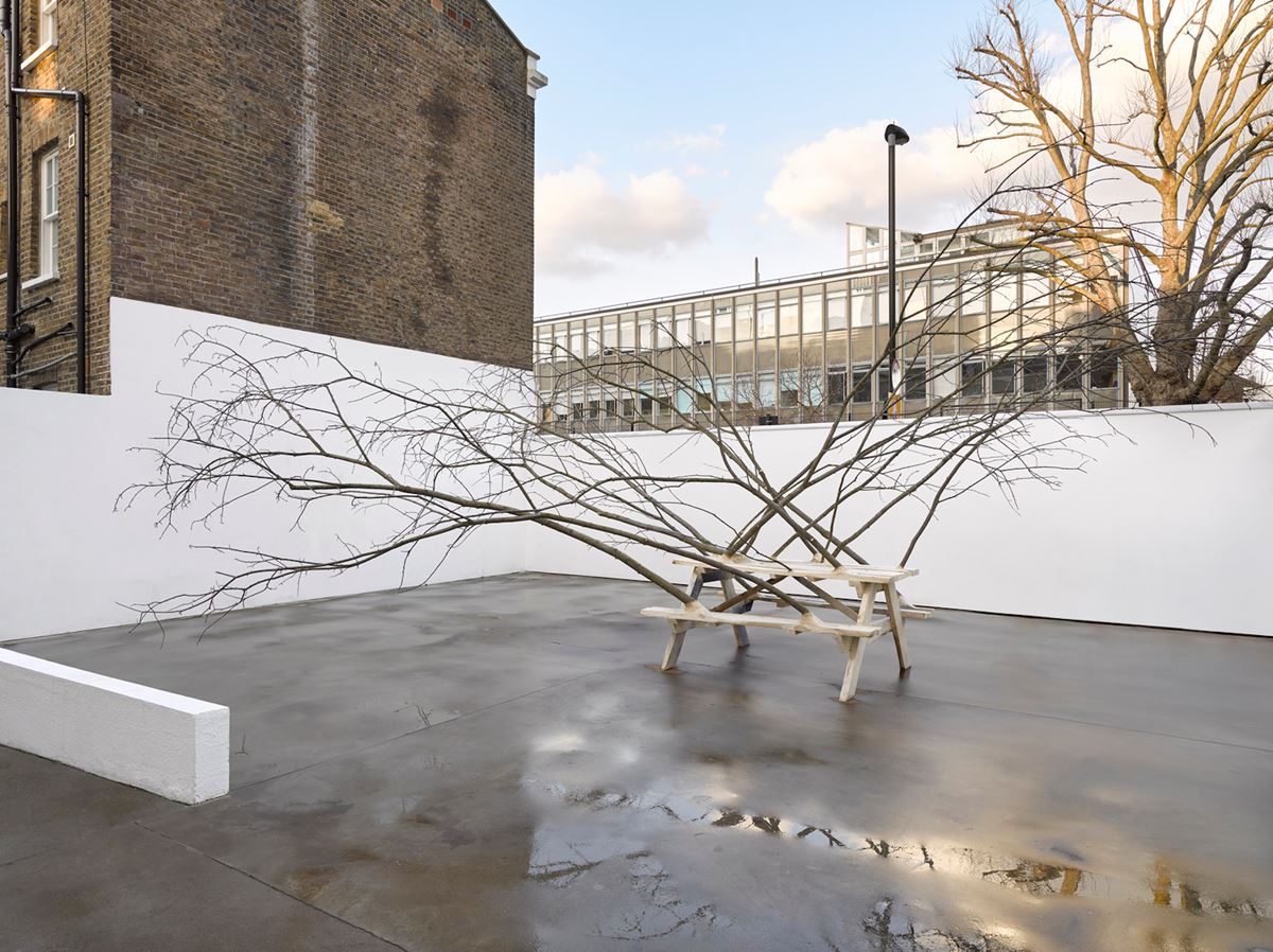 Hugh Hayden: Questions of Authenticity | Ocula