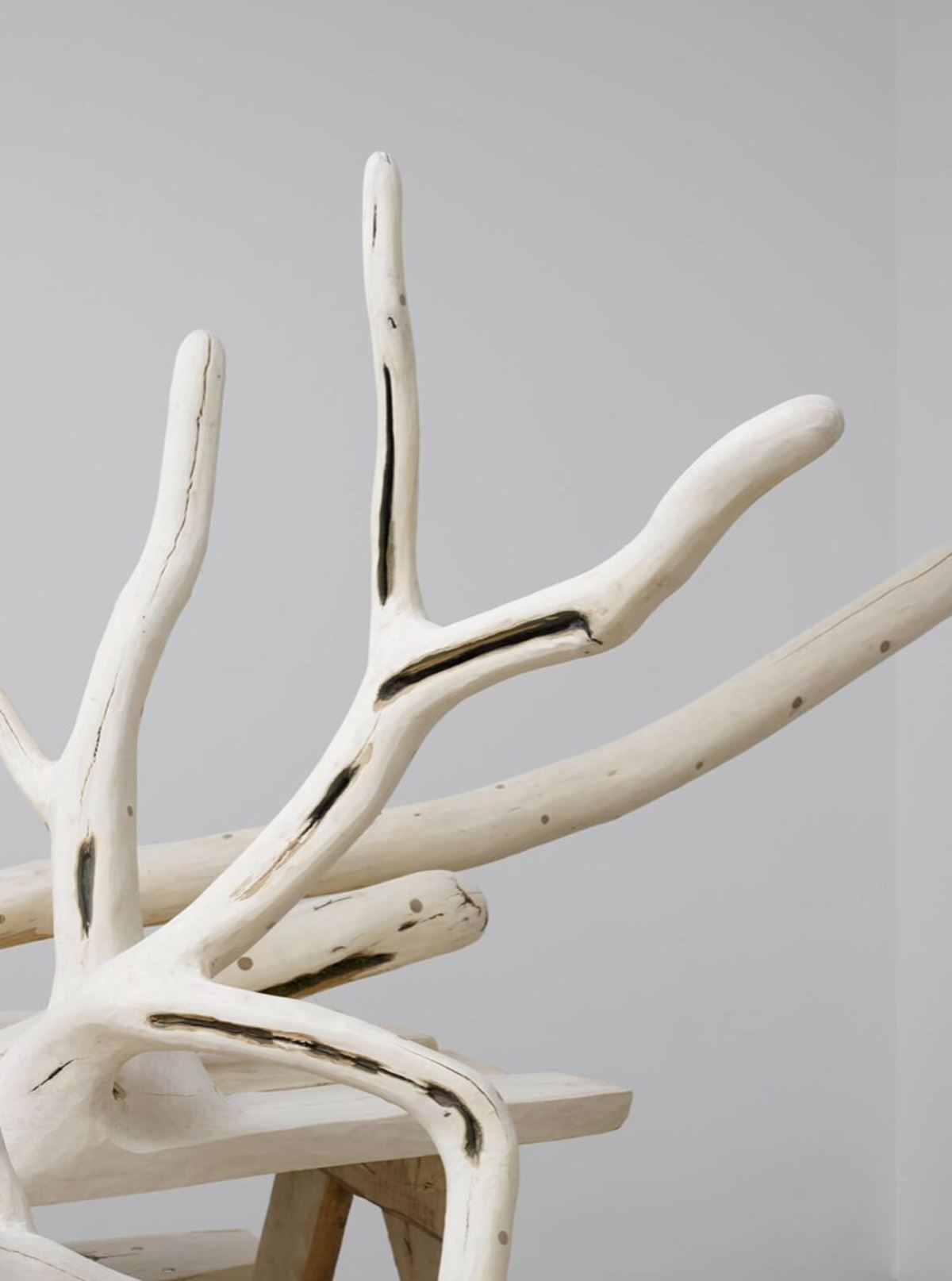 Hugh Hayden: Questions of Authenticity | Ocula