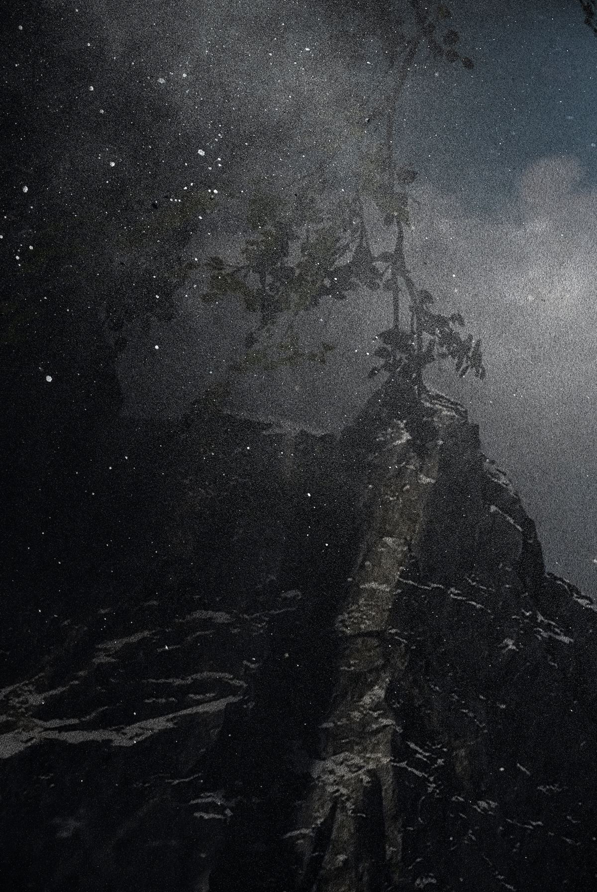 Dirk Braeckman: Capturing Quietness | Ocula