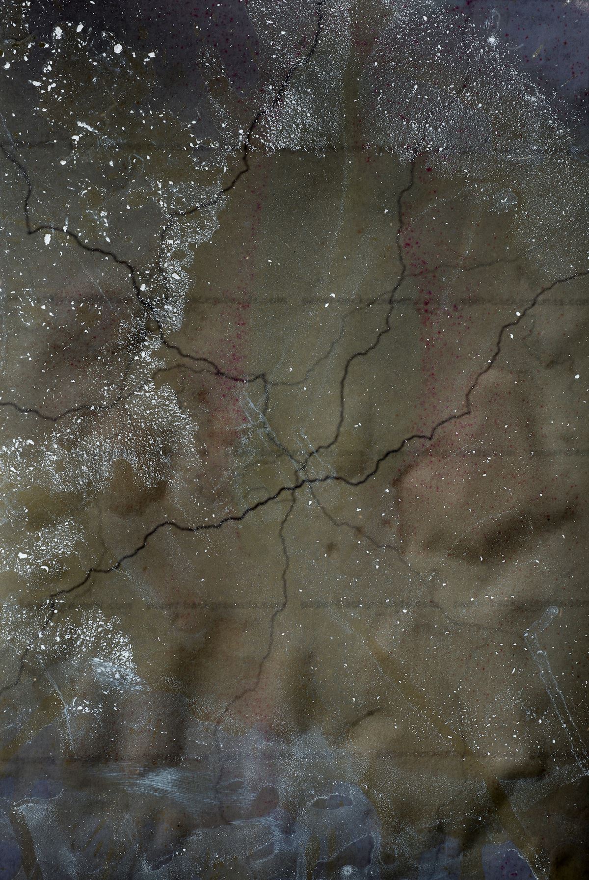 Dirk Braeckman: Capturing Quietness | Ocula