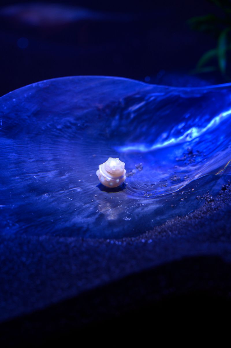 Monira Al Qadiri Dives Deep Into Oil | Ocula
