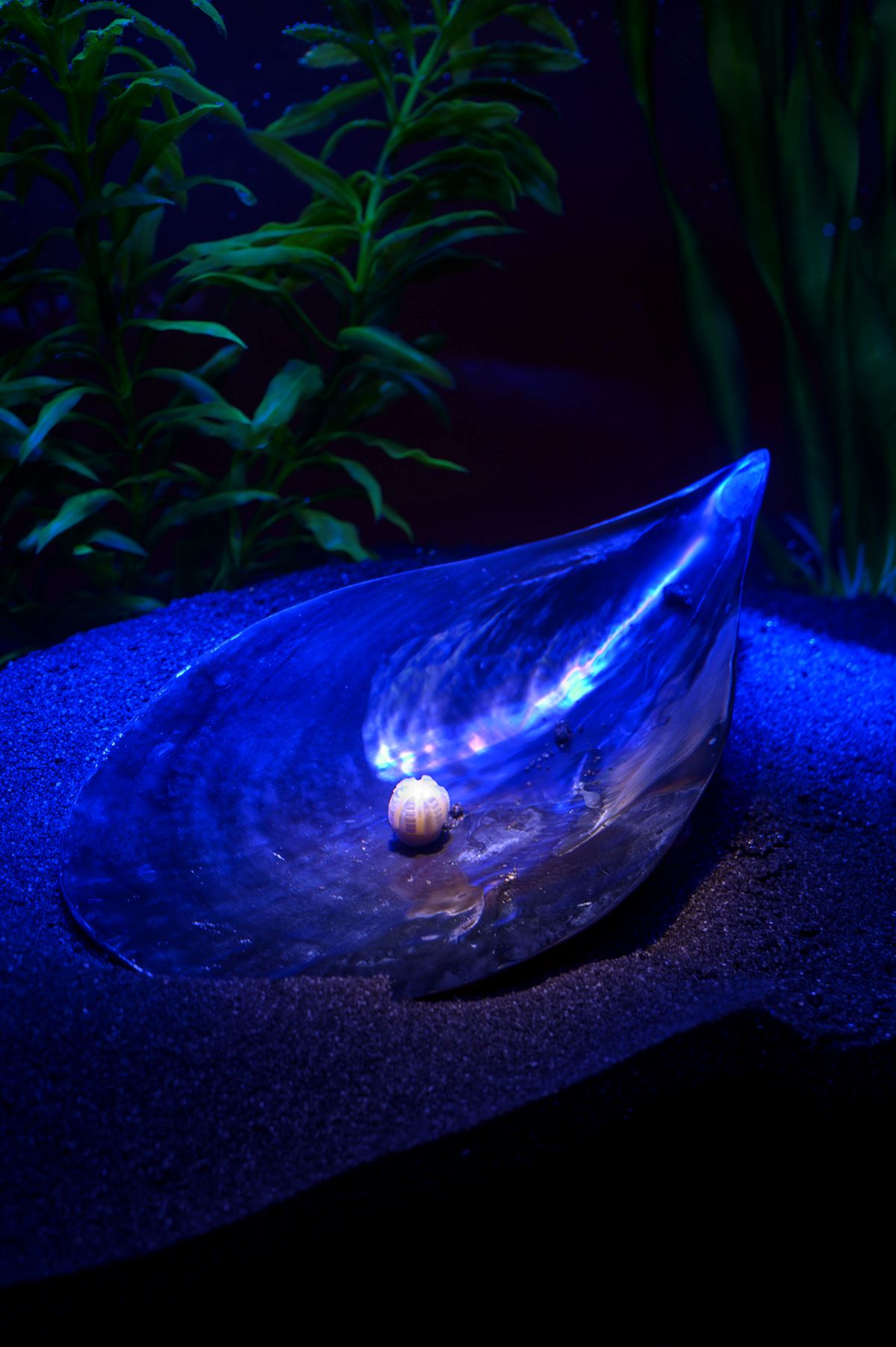 Monira Al Qadiri Dives Deep Into Oil | Ocula