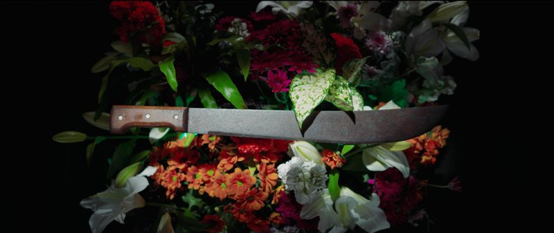 FAFSWAG on Queer Representation and documenta fifteen | Ocula