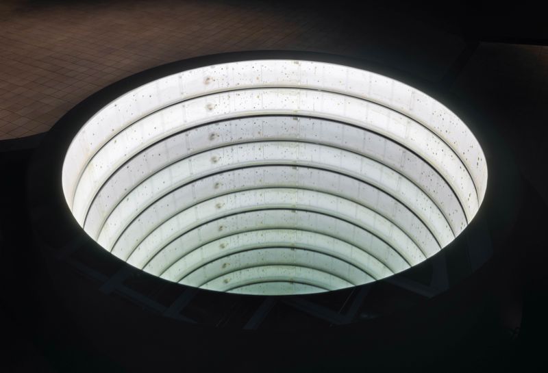 Anicka Yi: ‘Everything, everywhere, all at once’ | Ocula