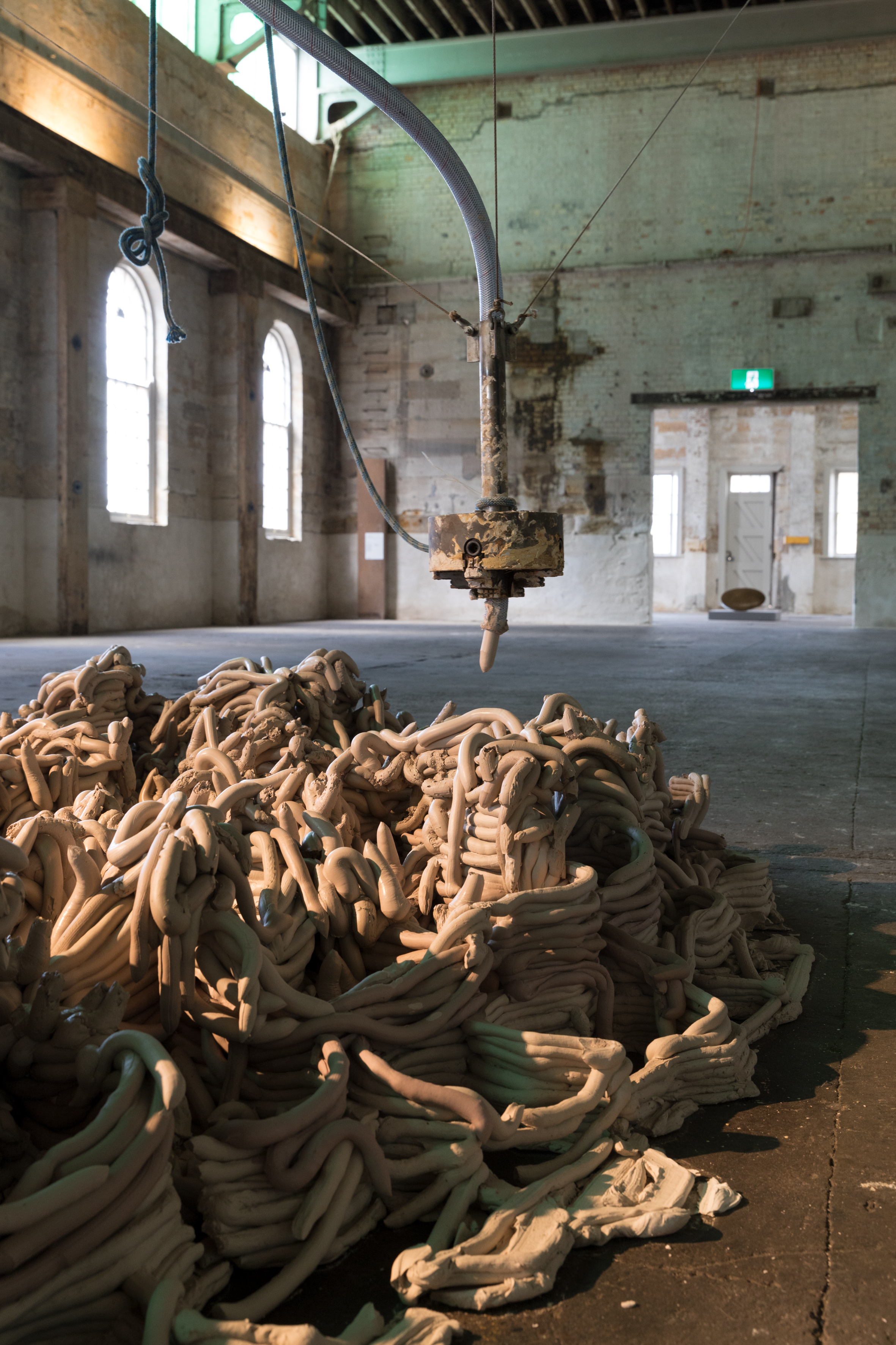 Anya Gallaccio | Ocula