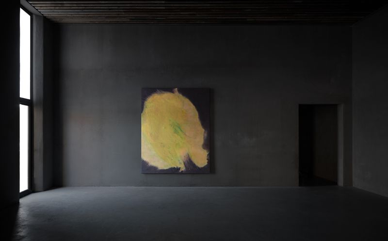 Axel Vervoordt | Ocula