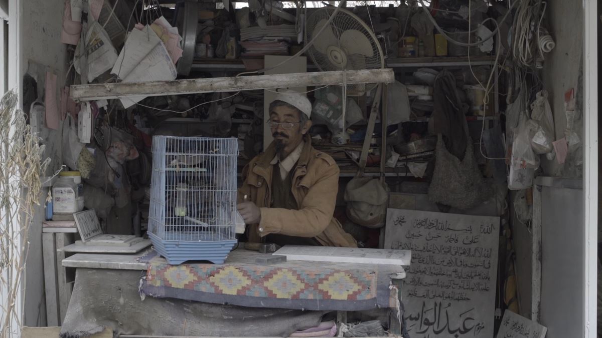 Bani Abidi: ‘What you see in my films is what I know’ | Ocula