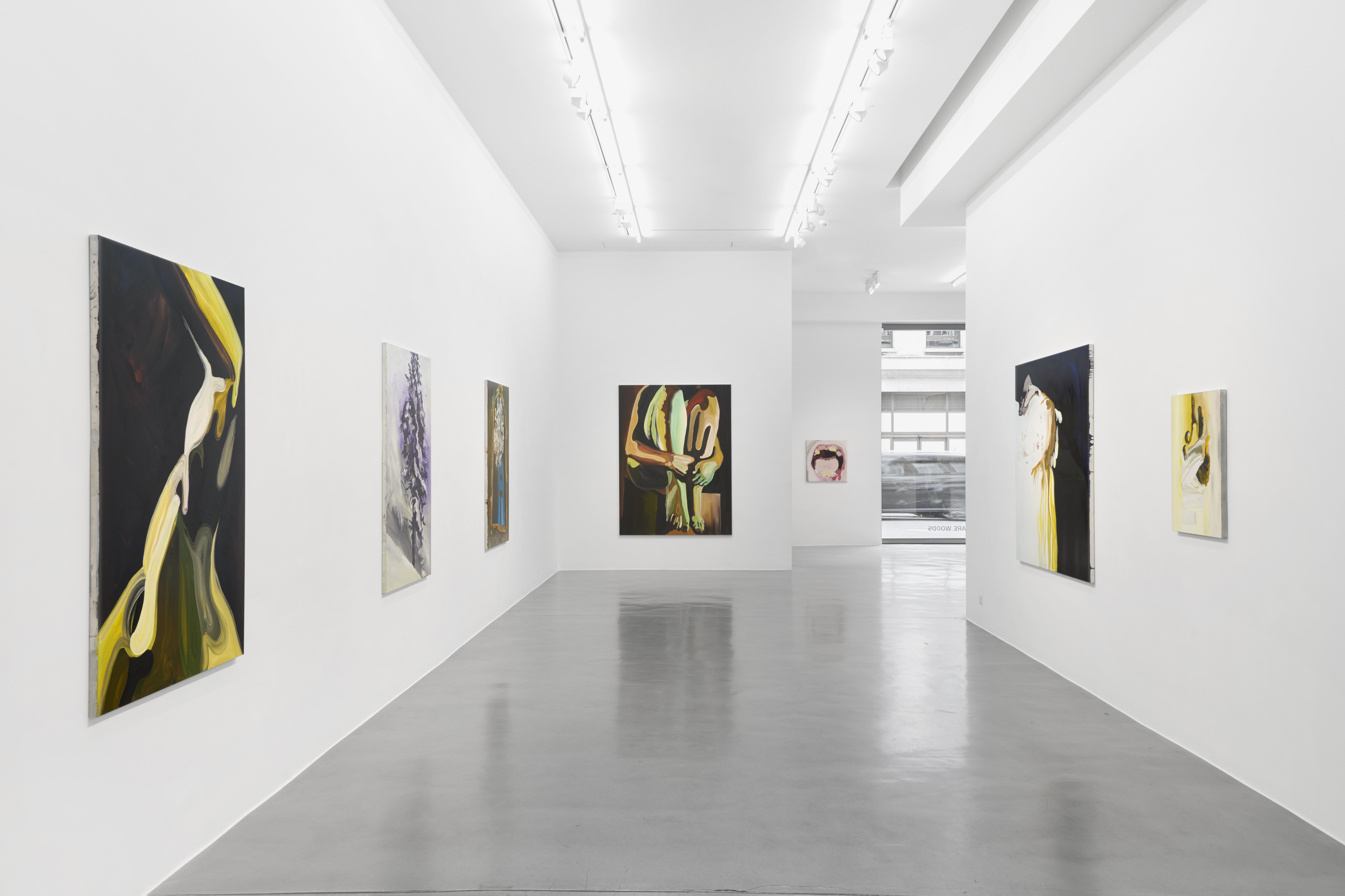 Clare Woods: ‘a lot of my work is about two extremes coming together ...