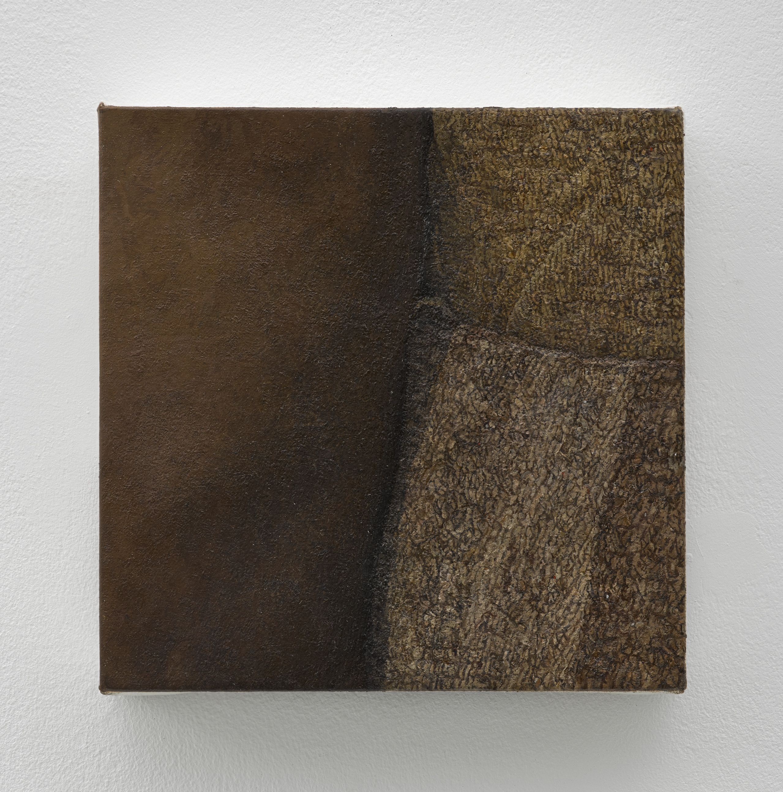 Ellen Altfest | Ocula