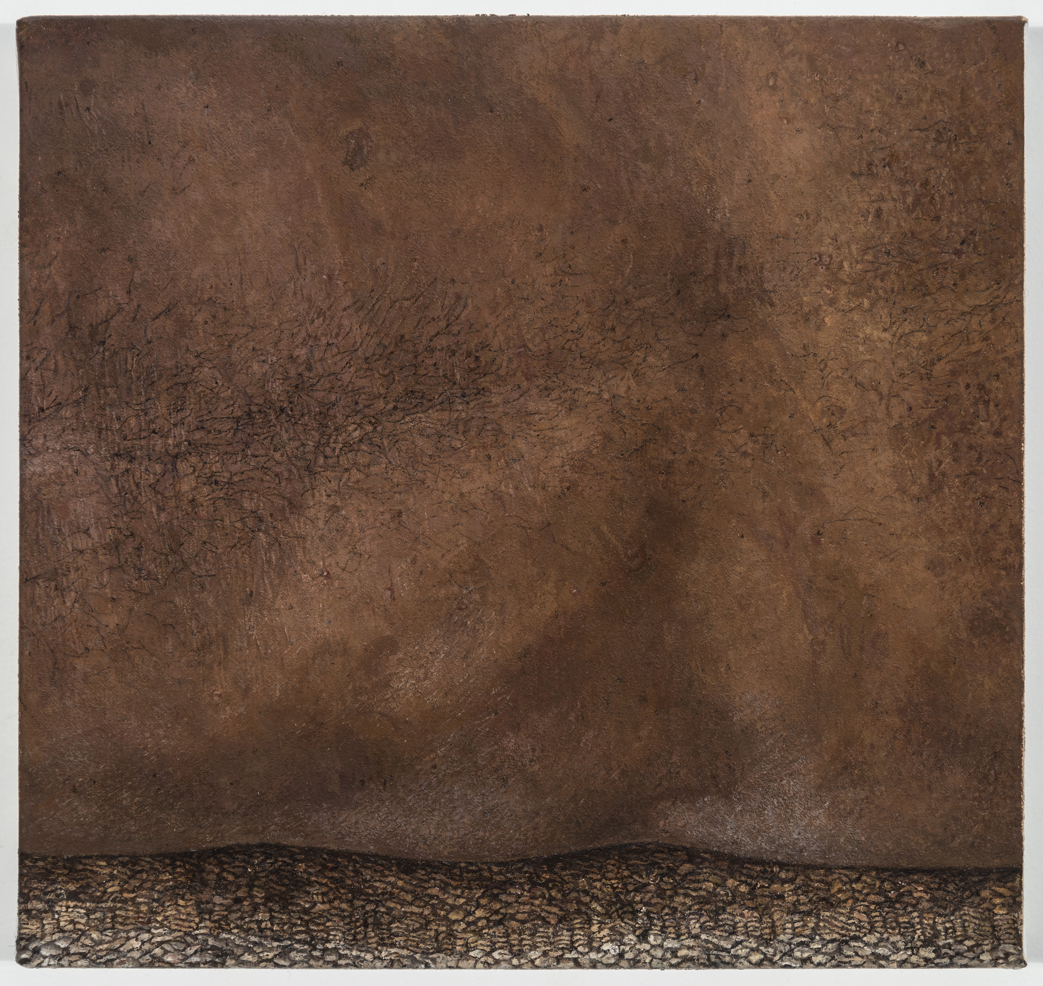 Ellen Altfest | Ocula