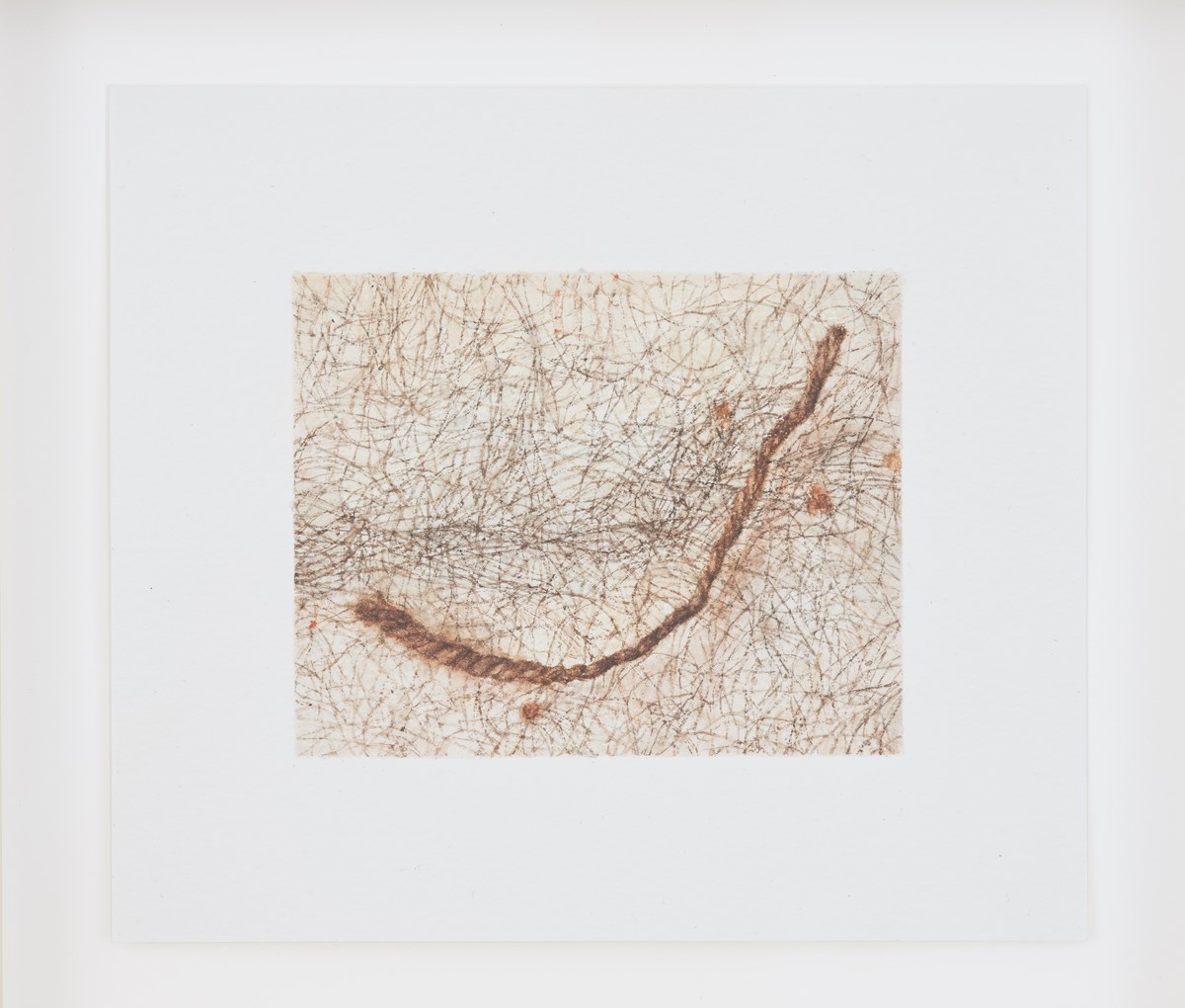 Ellen Altfest | Ocula