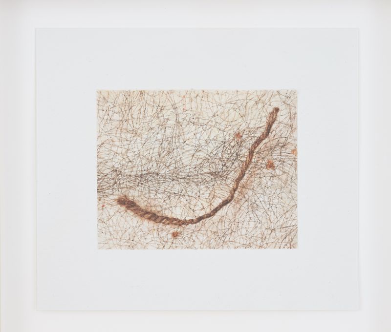 Ellen Altfest | Ocula