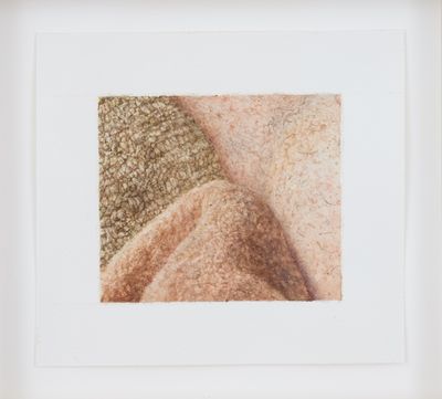 Ellen Altfest | Ocula