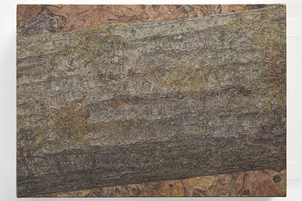 Ellen Altfest | Ocula