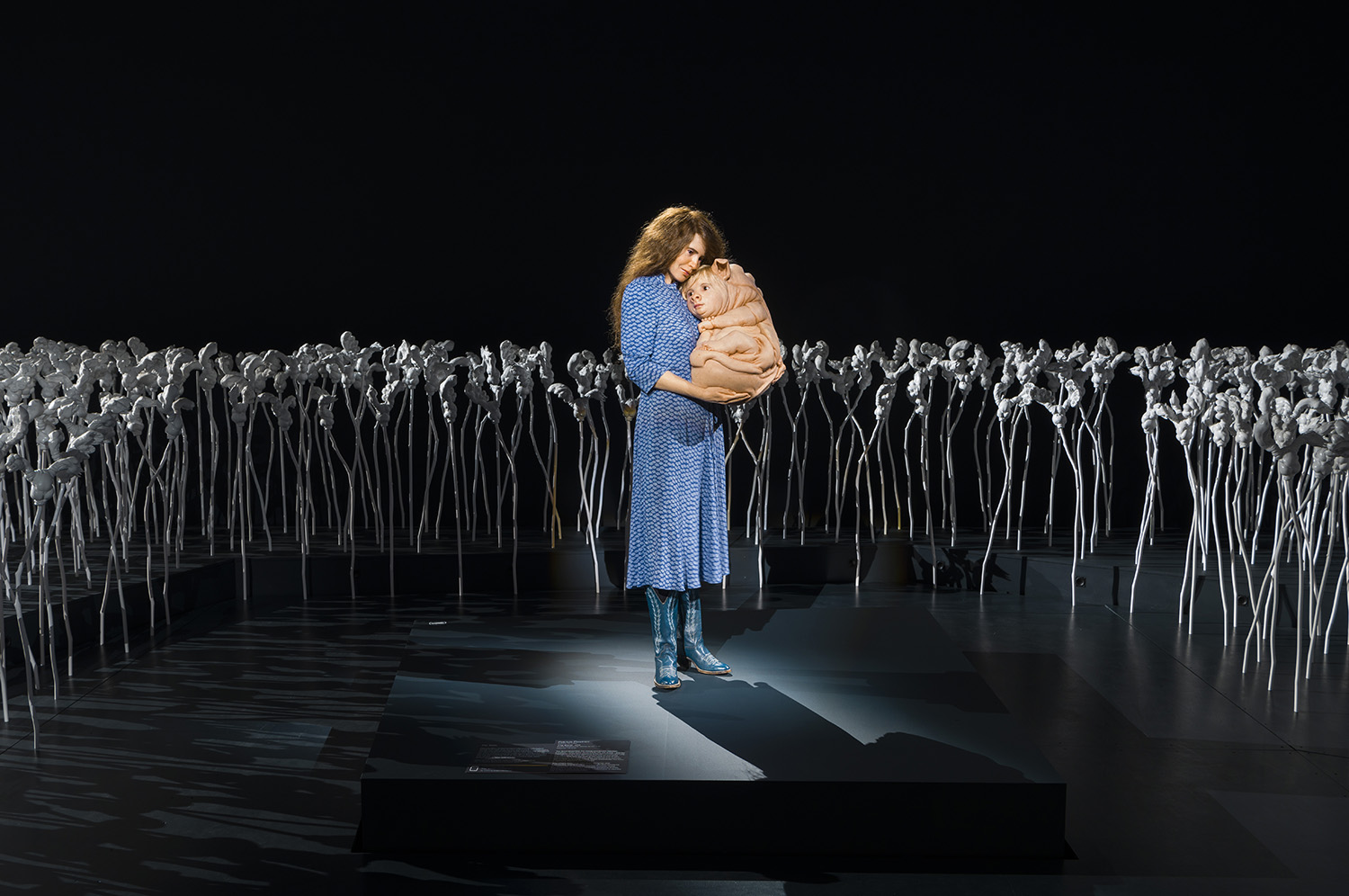 Patricia Piccinini | Ocula