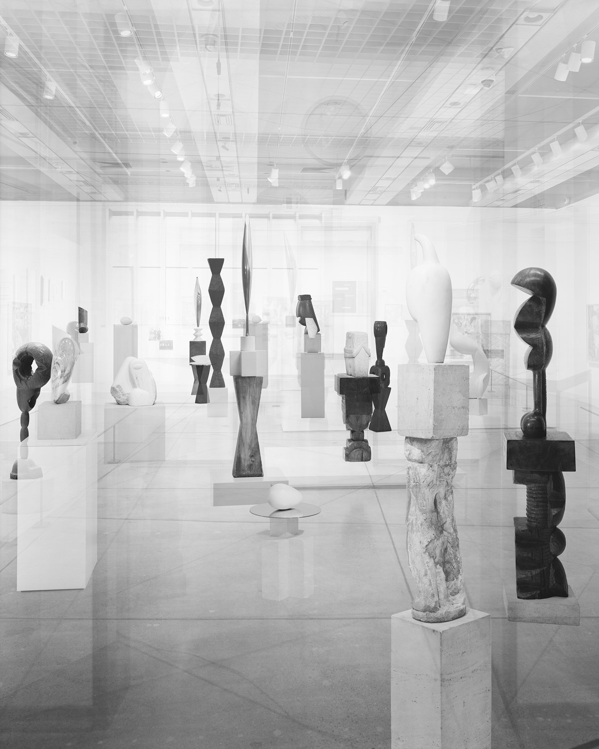 Simon Starling | Ocula
