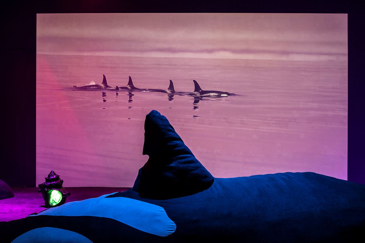 Zadie Xa: Behind the Mask | Ocula