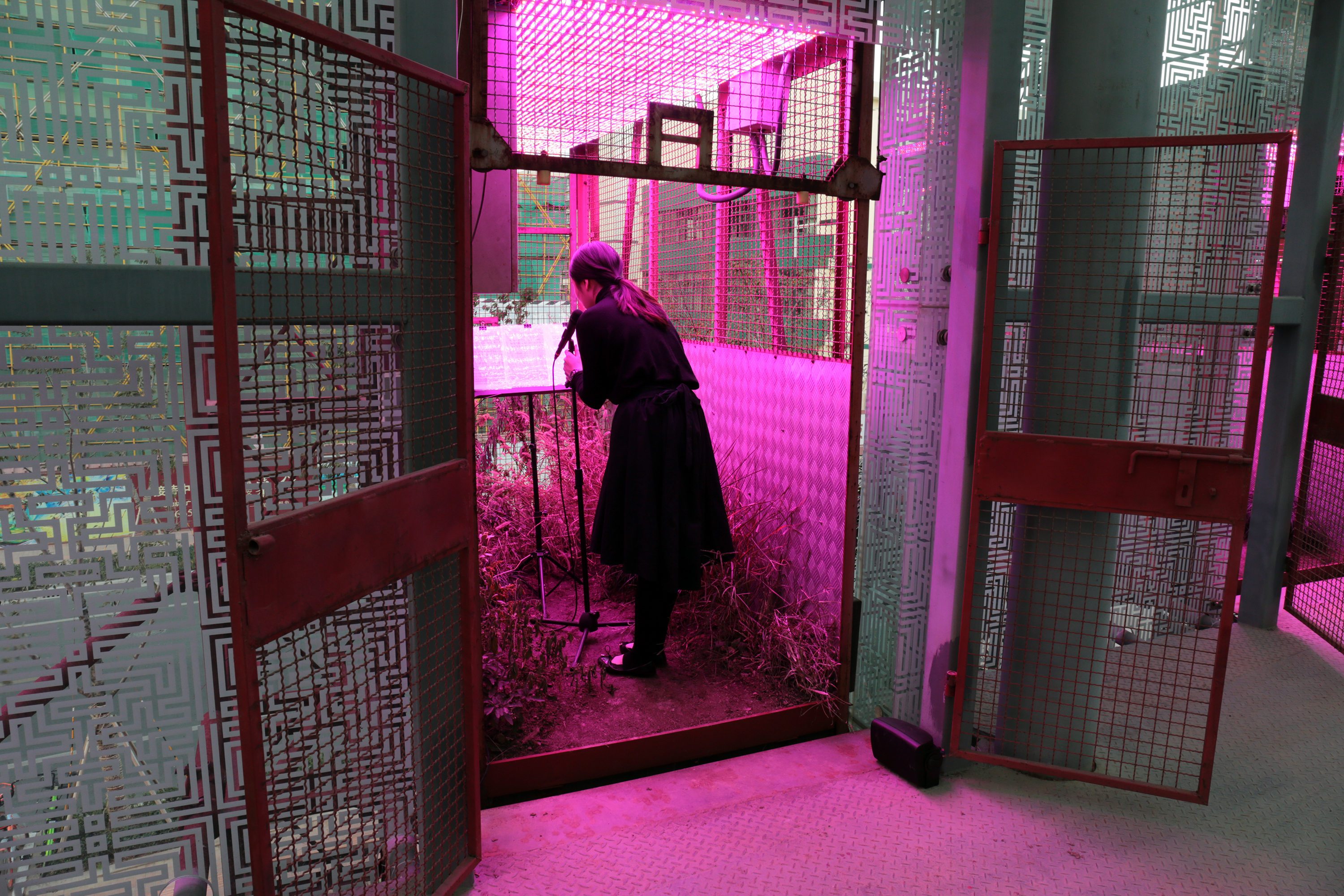 Zheng Bo: How to Live on Planet Earth | Ocula